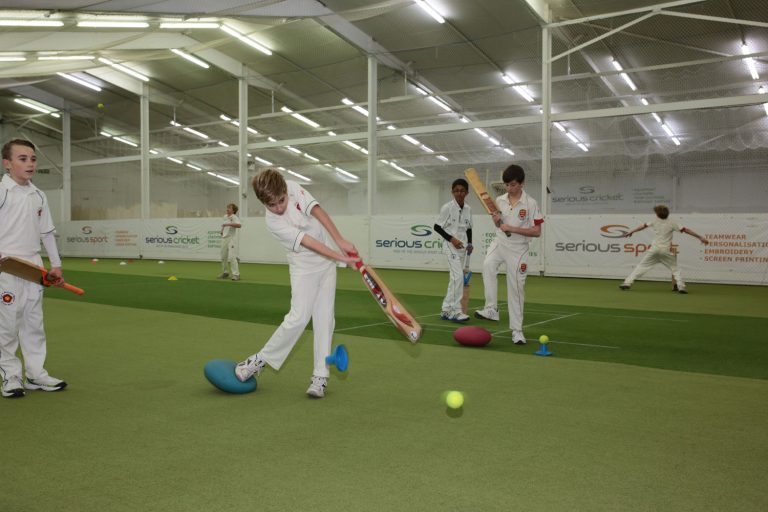 Purple Kaboodle Serious Cricket | Purple Kaboodle
